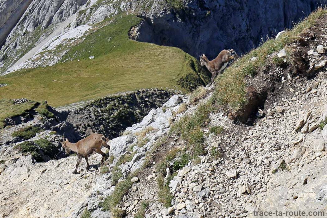 La TOURNETTE : randonnée au sommet du trône d'Annecy - Blog Outdoor ...