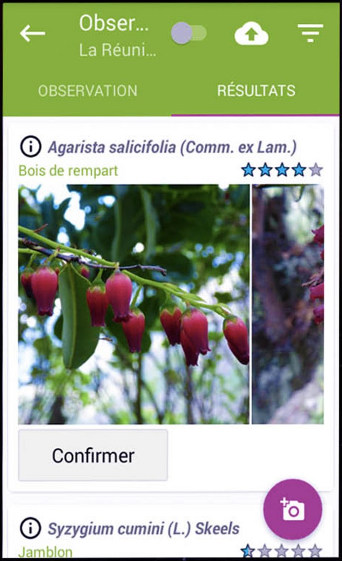 PL@NTNET, l'appli pour identifier les plantes et fleurs - Blog Outdoor ...