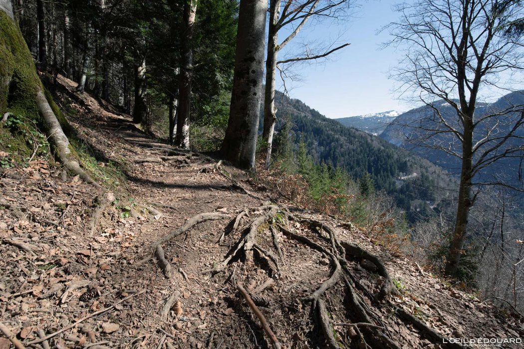 Le PAS DU ROC jusqu'au Champ Laitier - Blog Randonnée Trace Ta Route