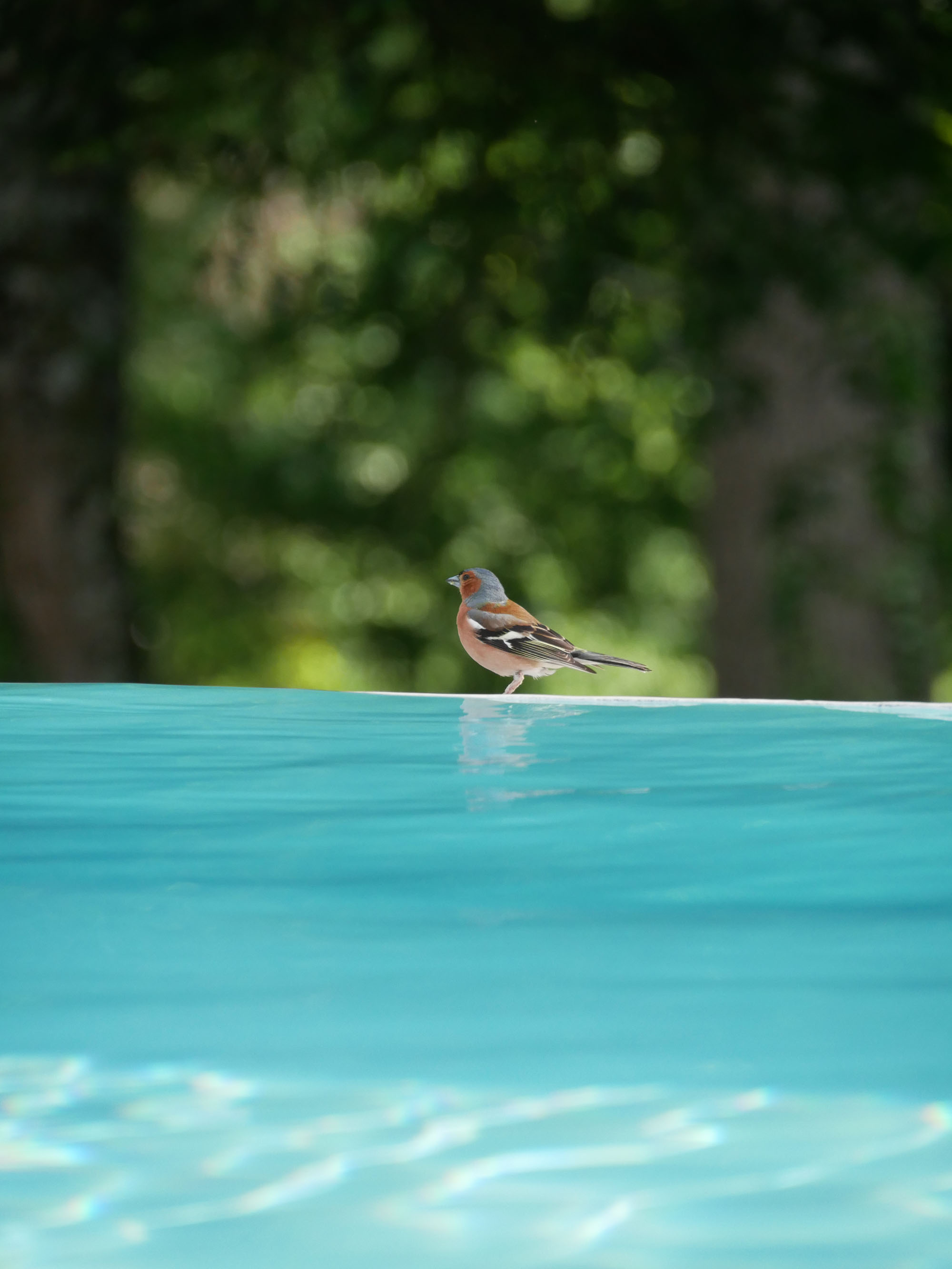 Visiter Albi et le Tarn en 3 jours : que faire, que voir ? - Blog ...